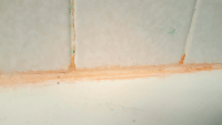 Pink Bacteria in Showers, Tubs, Sinks, Toilets, and Pet Bowls - My Pure ...