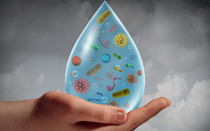 Biological Contaminants: Bacteria in Water - My Pure Water
